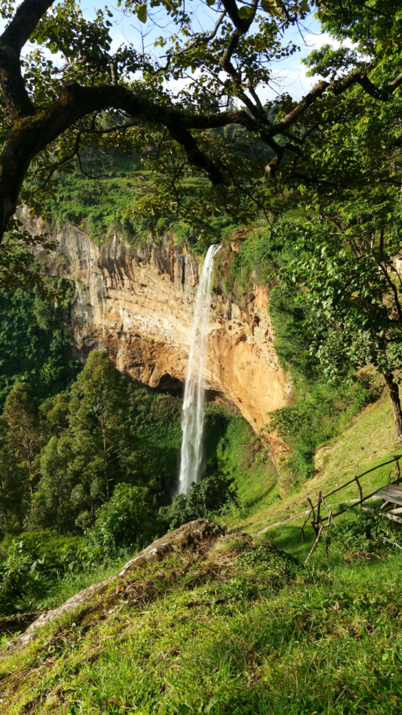 25 Best Things to Do in Uganda - Where The Road Forks