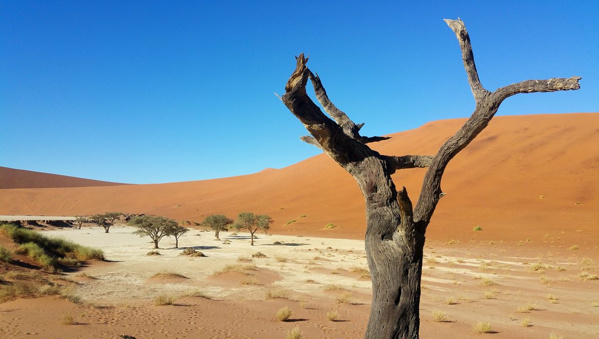 How to Visit Sossusvlei, Namibia Independently and on a Budget - Where ...