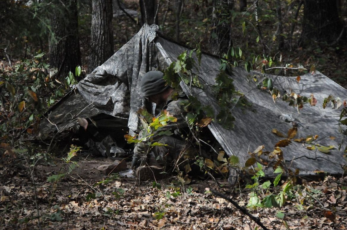 Tarp Vs. Tent for Camping: Pros and Cons - Where The Road Forks
