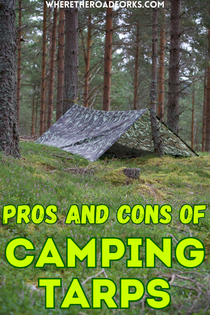 Tarp Vs. Tent for Camping: Pros and Cons - Where The Road Forks