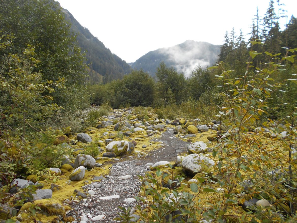21 Tips for Hiking in the Rain - Where The Road Forks
