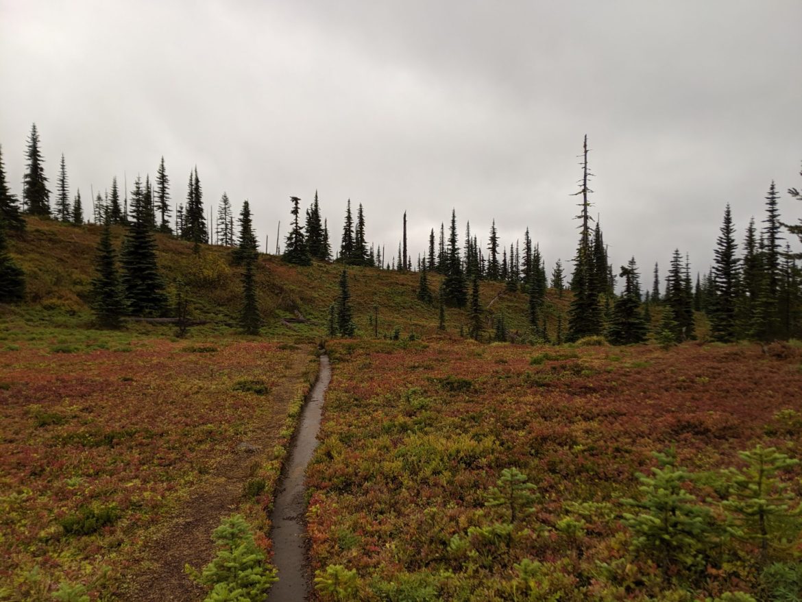 21 Tips for Hiking in the Rain - Where The Road Forks