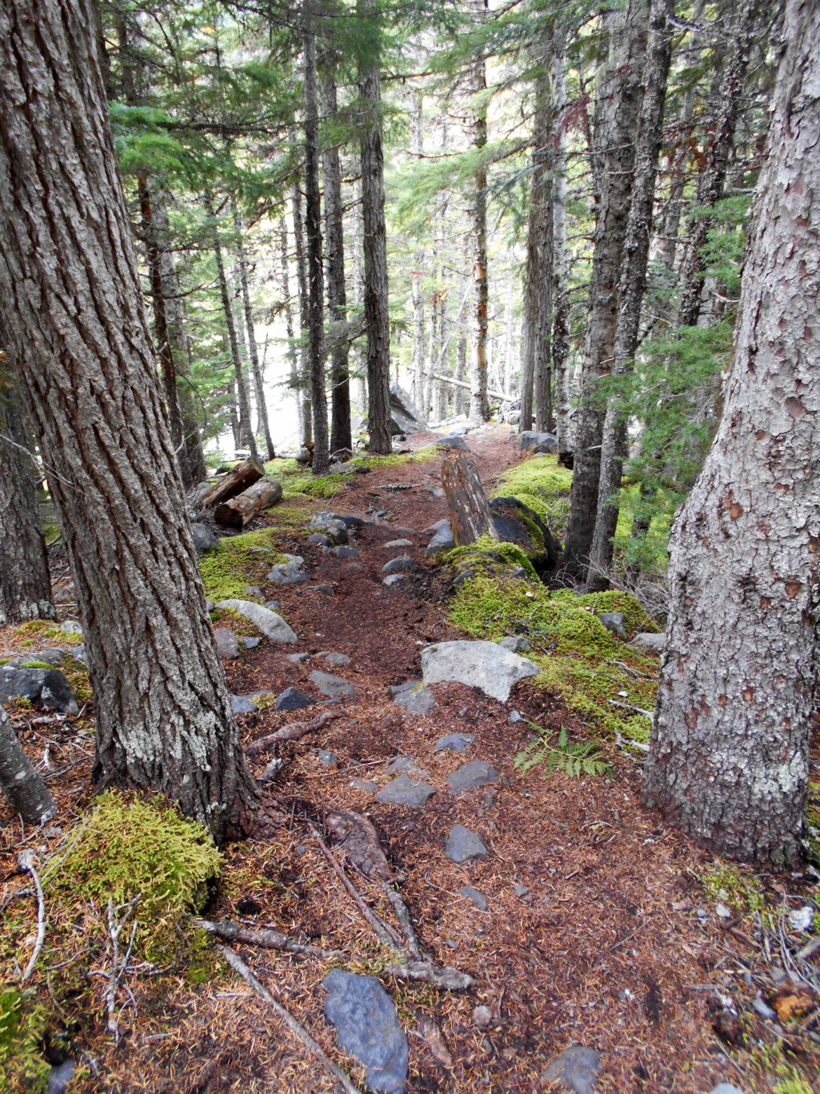 Hiking the Wonderland Trail: How to Plan a Thru-Hike - Where The Road Forks