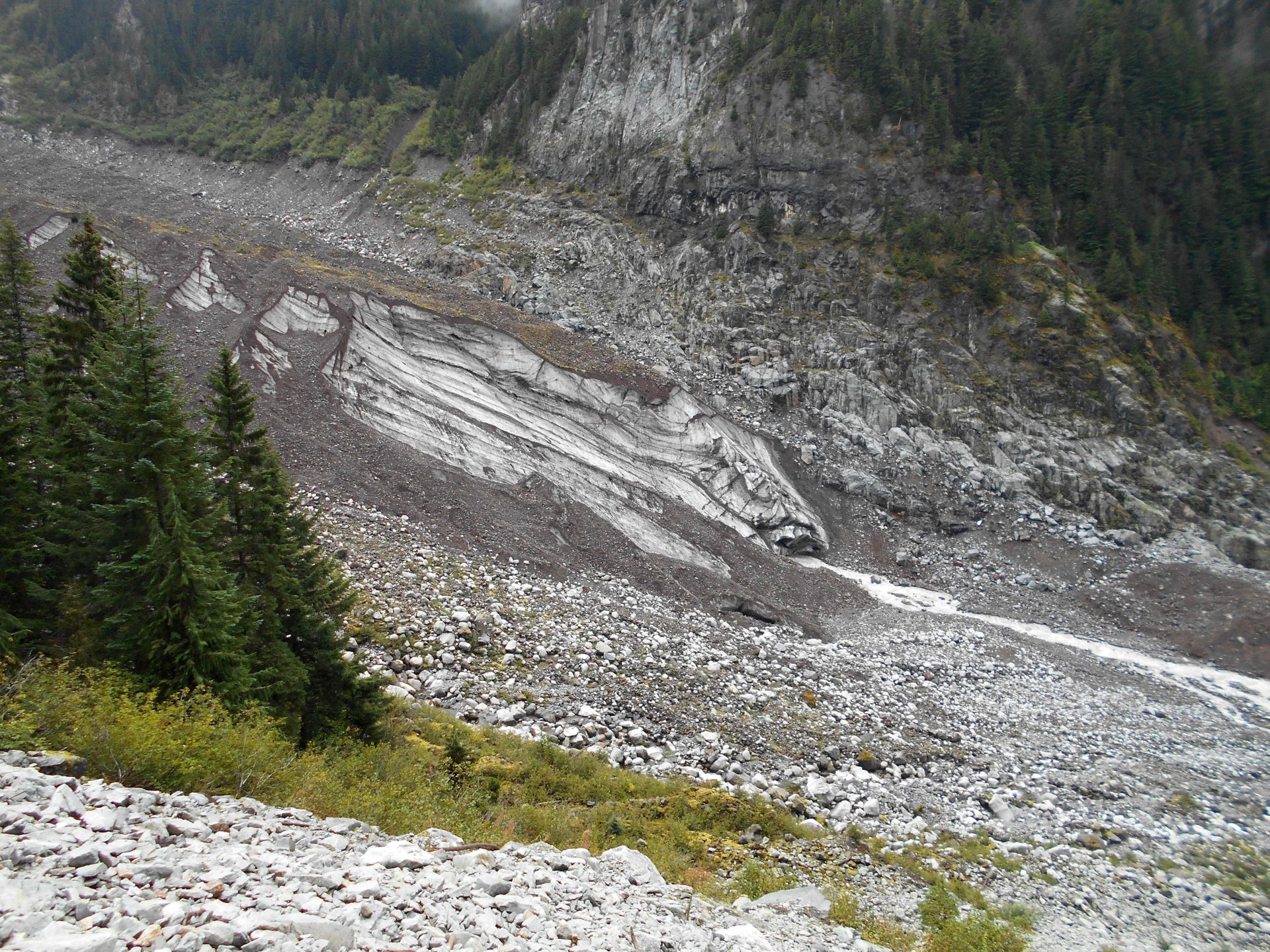 Wonderland Trail Wilderness Campsites - Where The Road Forks