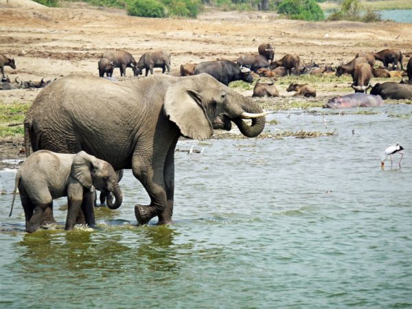 17 Great Rift Valley Lakes to Visit in East Africa - Where The Road Forks