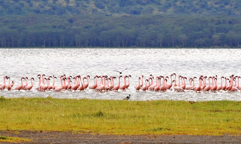 17 Great Rift Valley Lakes to Visit in East Africa - Where The Road Forks
