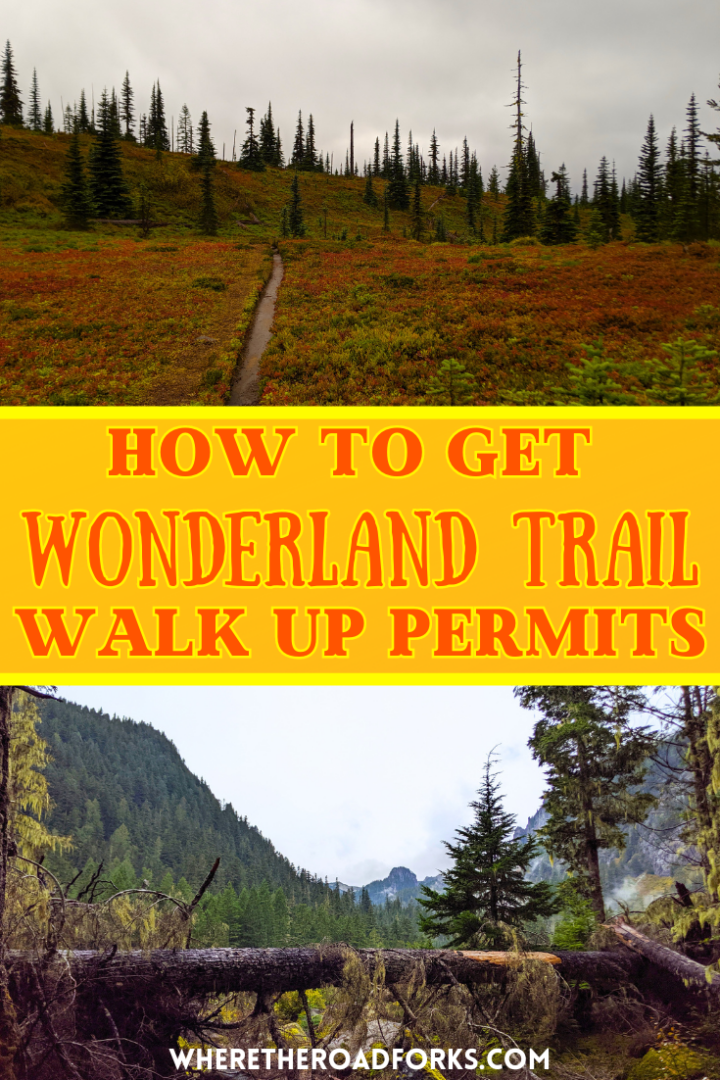 How to Get a Wonderland Trail Walk Up Permit - Where The Road Forks