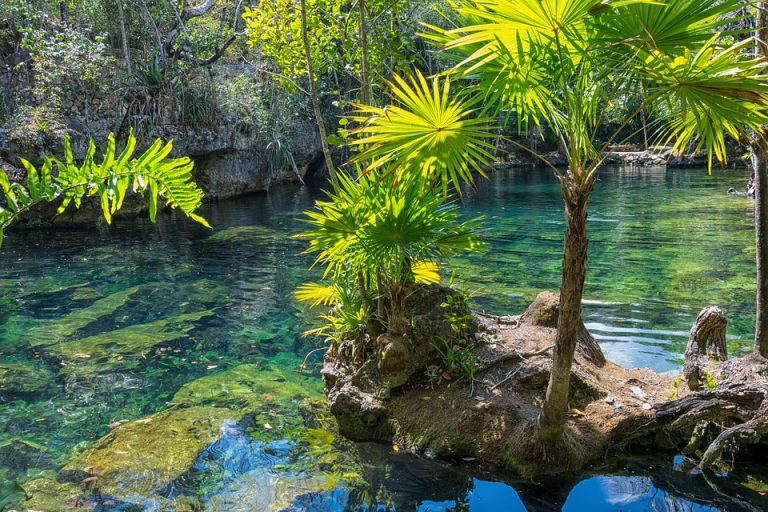 Can You Drink the Tap Water in Mexico? - Where The Road Forks