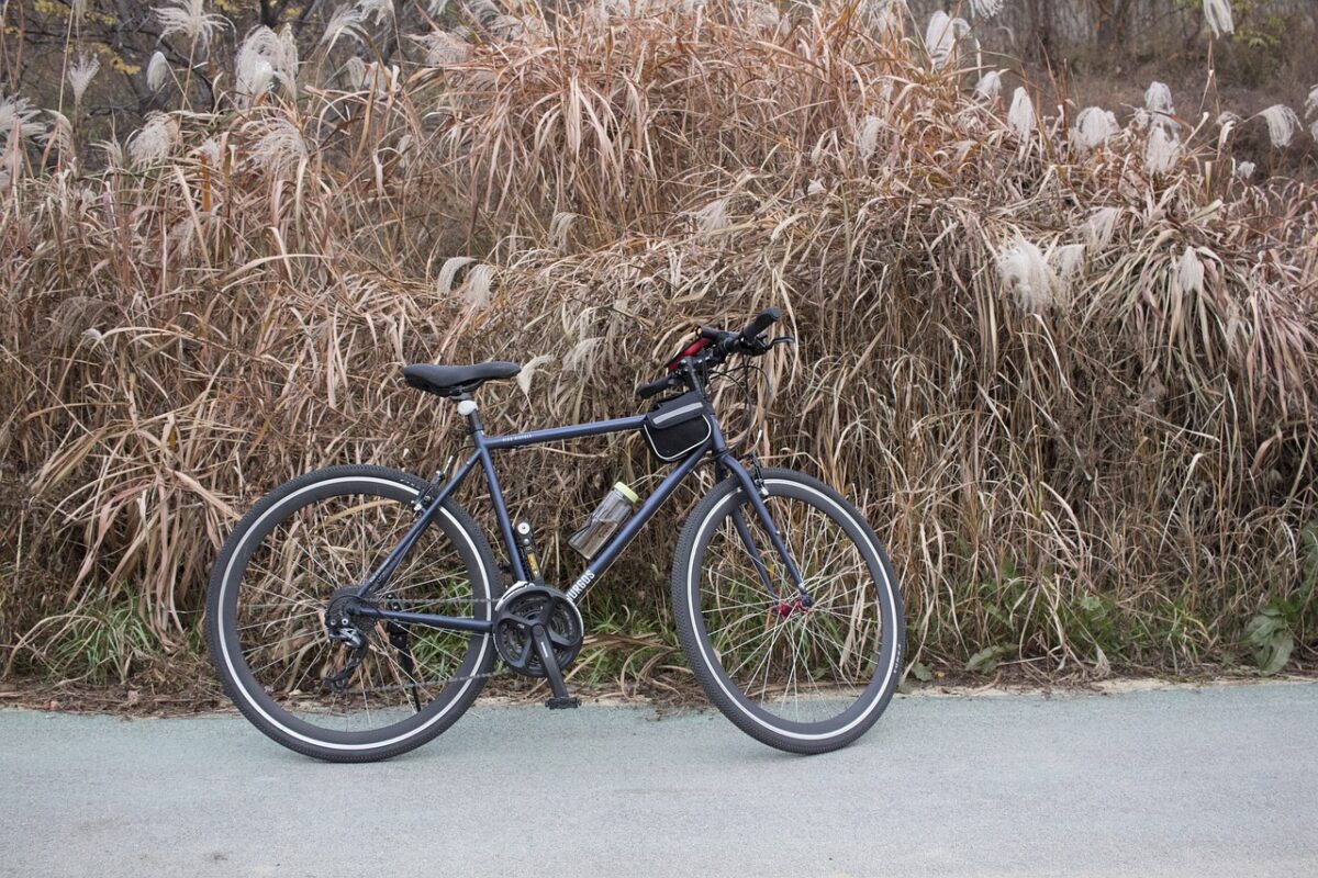 Freewheel Vs Freehub: Pros and Cons - Where The Road Forks