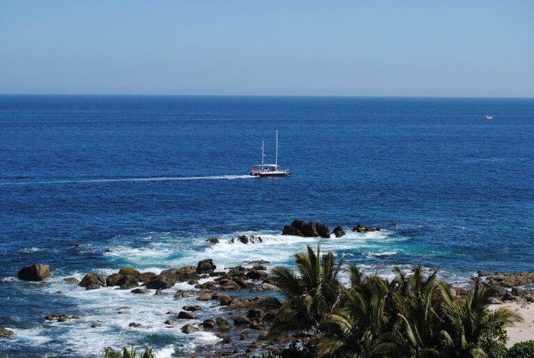 Do You Need a Passport To Go To Cabo - Where The Road Forks