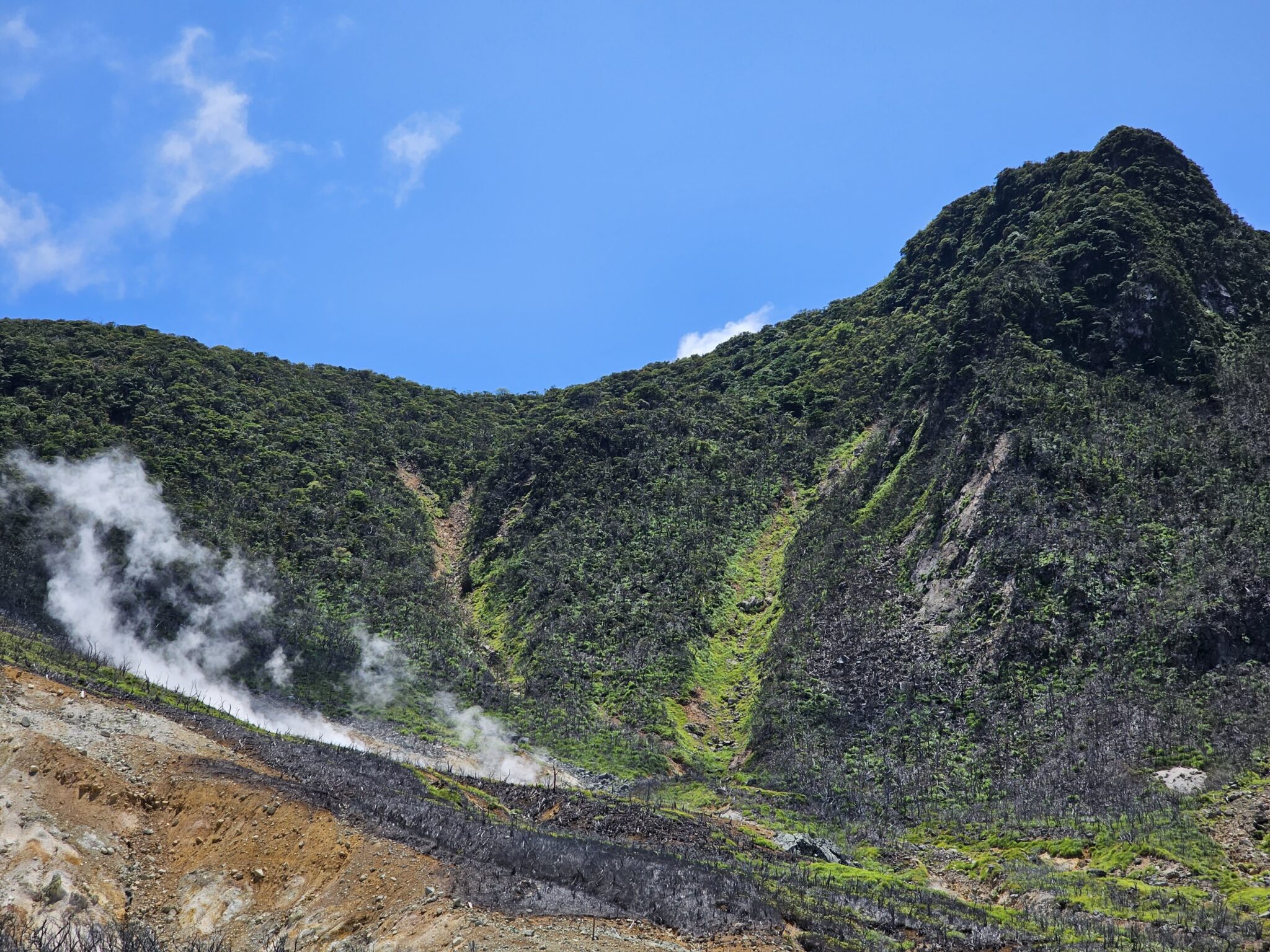 How to Take a Hakone Day Trip from Tokyo - Where The Road Forks