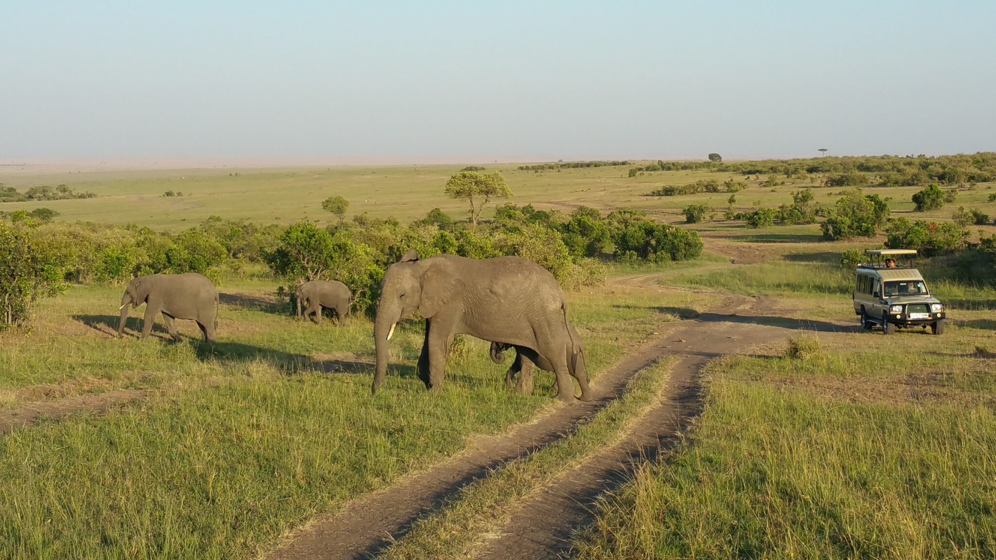 Is Uganda Safe to Travel in 2024? Avoiding Crime and Scams - Where The ...