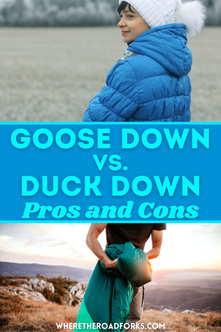 Goose Down Vs Duck Down: Pros and Cons - Where The Road Forks